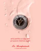 Companion (2025) movie posters