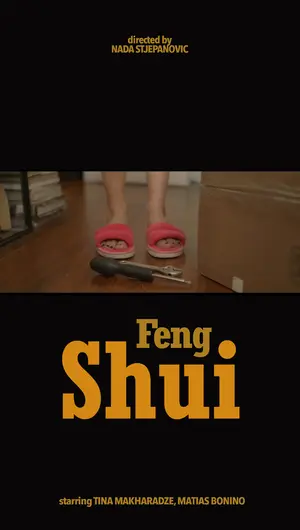 Feng Shui (2018) movie posters