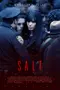 Salt (2010) movie poster
